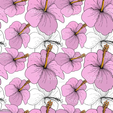 벡터 히비스커스 꽃 열대 꽃입니다 흰색 배경에 잉크 아트가 새겨진 원활한 배경 패턴 0명에 대한 스톡 벡터 아트 및 기타 이미지 0명 가을 검은색 Istock