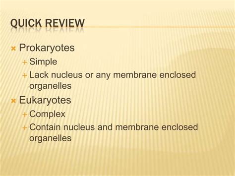 Chapter 22 The Origin Of Eukaryotes Pptx Biological Sciences Science
