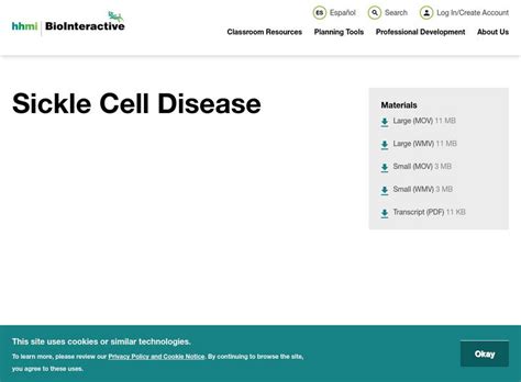 Hhmi Biointeractive Dna Sickle Cell Anemia Instructional Video For