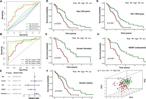 Systematic Integration Of M6a Regulators And Autophagy Related Genes In Combination With Long