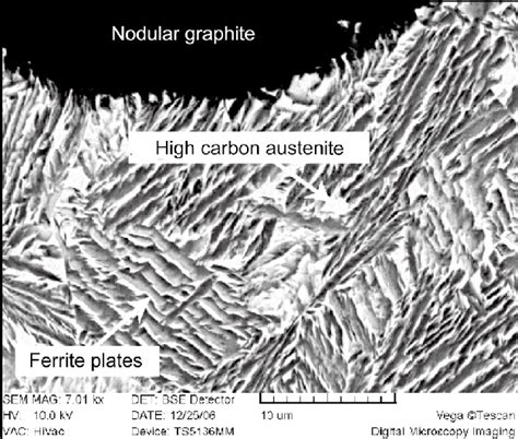 A Typical Image Of Adi Microstructure [10] Download Scientific Diagram