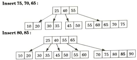 Aktu Btech Design And Analysis Of Algorithm Important Unit 2 Advanced Data Structure