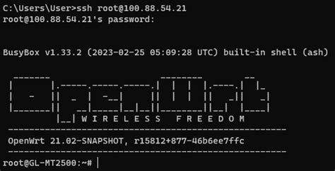 Tailscale Glinet Router Docs 4