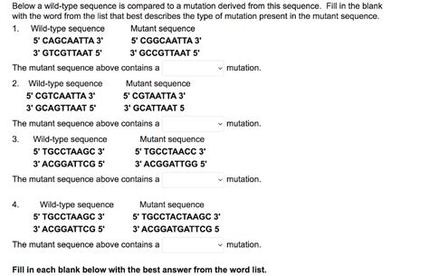 Solved Below A Wild Type Sequence Is Compared To A Mutation