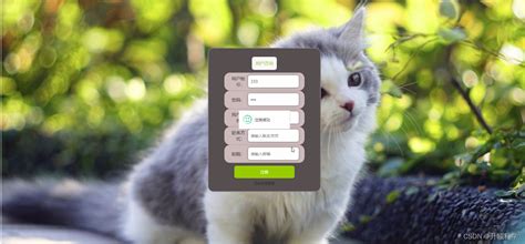 Ssm宠物收养系统mf8t3【独家源码】 应对计算机毕业设计困难的解决方案 Csdn博客