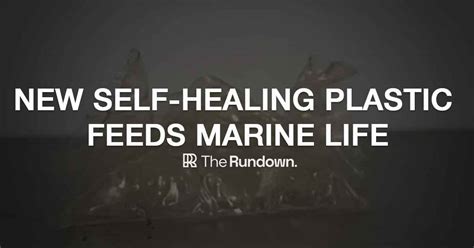 New Self Healing Plastic Tech