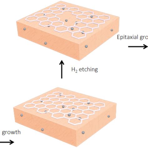 Schematic Diagrams Of Lateral Gr H Bn Heterostructure Growth On Download Scientific Diagram