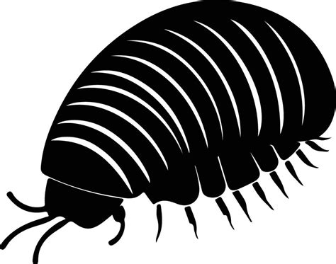 Pill Bug Black Silhouette 38102666 Vector Art At Vecteezy