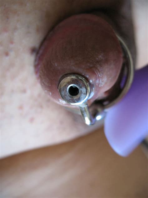 More Steel In Cock With Glans Rings 430 Pics Xhamster