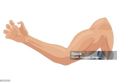 남성 팔뚝 근육 아이콘이 설정되었습니다 강한 팔뚝을 가진 스포츠맨 팔 건강한 힘의 벡터 상징입니다 긴장된 근육을 가진 운동선수 몸은 하얀 배경에 고립되어 있다 건강한 생활