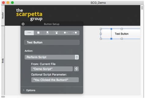 View And Set Script Parameters In The Button Setup In Filemaker 17
