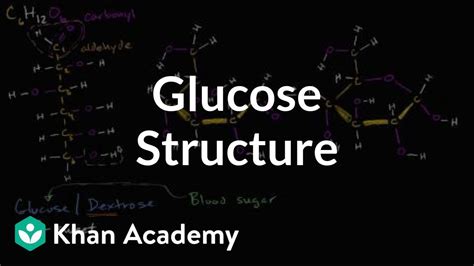 Chemical Structure Of Glucose Chain Form