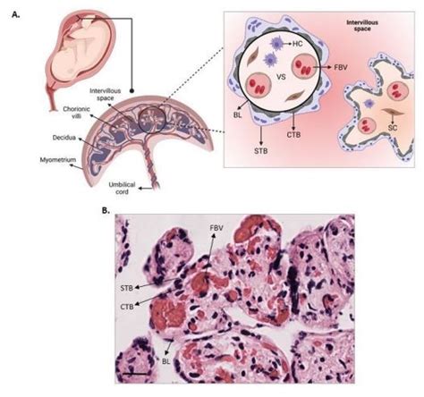 methods and protocols mdpi on linkedin callforreading recommendations free methods