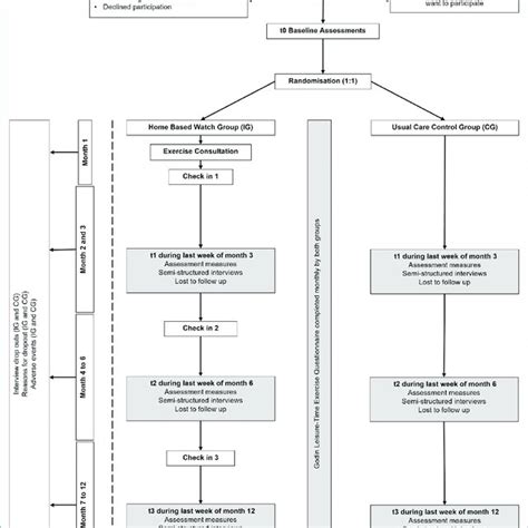 Maintain Feasibility Randomised Controlled Trial Flow Chart Download Scientific Diagram