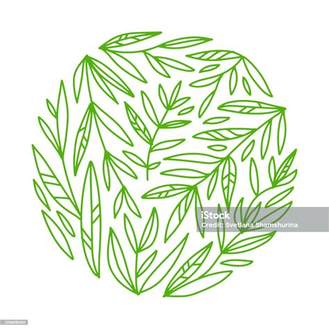 녹차 윤곽선 스타일의 둥근 나뭇잎과 분기 패턴 개념 추상손으로 그린 요소가 있는 컴포지션 낙서 스타일입니다 카페 메뉴 포장 또는