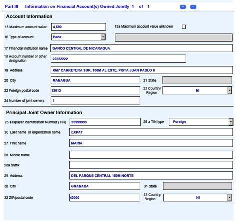 What Does Fbar Form Look Like Printable Forms Free Online