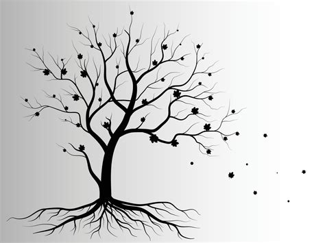 Black Branch Tree Or Naked Trees Silhouettes Set Hand Drawn Isolated Illustrations
