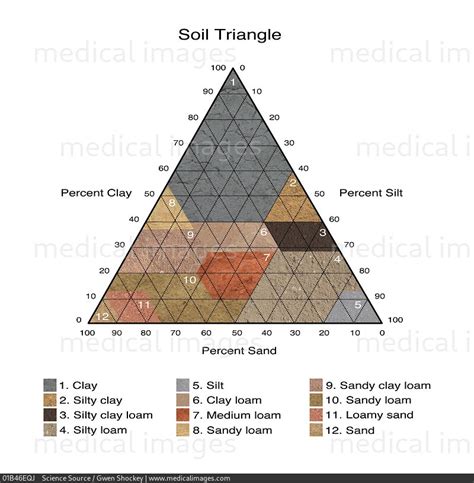 STOCK IMAGE JC B EQJ Science Source Search Medical Scientific Stock Photos At