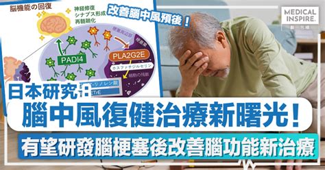 腦梗塞丨日本研究：腦中風復健治療新曙光！有望研發腦梗塞後改善腦功能新治療。 Medical Inspire 醫・思維