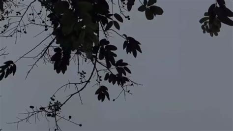 Queen Lia S Xxx Videos And Recorded Live Shows Xhamsterlive