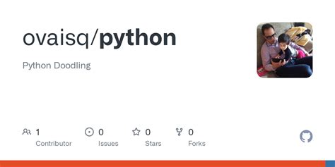 Github Ovaisqpython Python Doodling