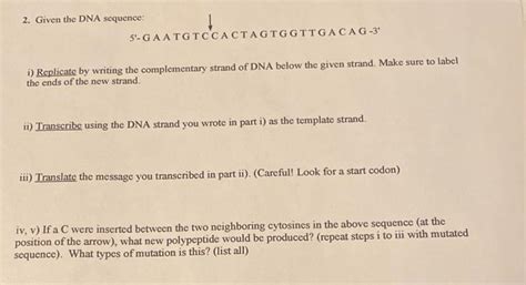 Solved Given The DNA Sequence G A A T G T C C A CT A Chegg