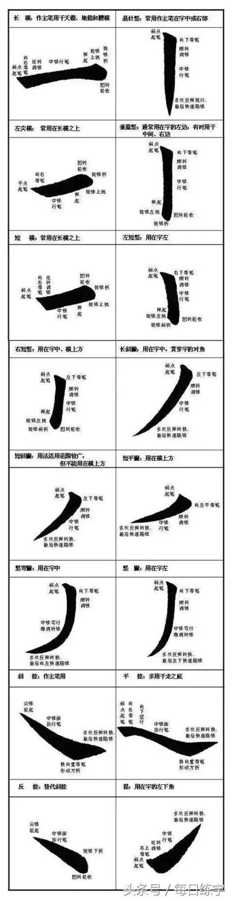 楷书八大基本笔顺楷书基本笔画大全练正楷字入门基础笔画第2页大山谷图库