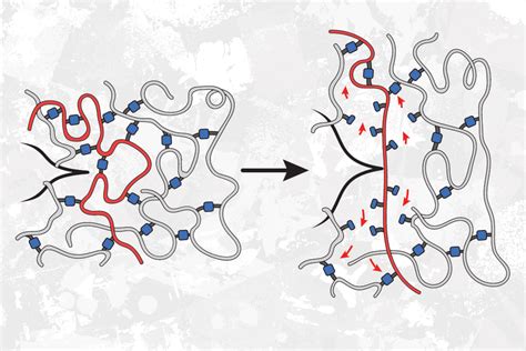 Surprise Weaker Bonds Can Make Polymers Stronger Mit Department Of Chemistry