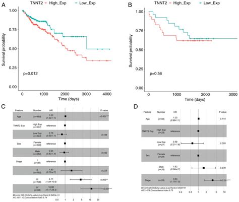 Tnnt2 As A Potential Biomarker For The Progression And Prognosis Of