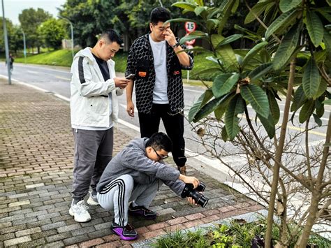 华龙网：植物观察记录超5万条！重庆交通大学“第二届自然观察计时赛”举行 重庆交通大学新闻网