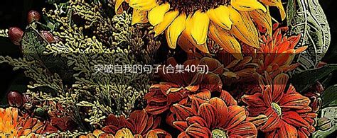 突破自我的句子 合集40句