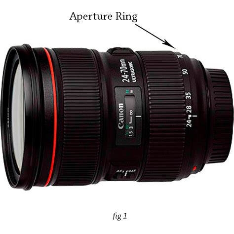 Guide To Understanding Aperture Wild Artistic Guide To Understanding Aperture Wild Artistic