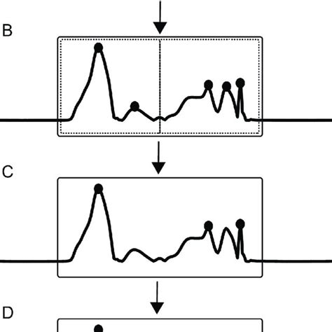 Generic Illustration Of An Imu Signal And The Steps Performed By Both