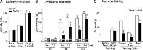 Performance In The Passive Avoidance Test And Fear Conditioning Are