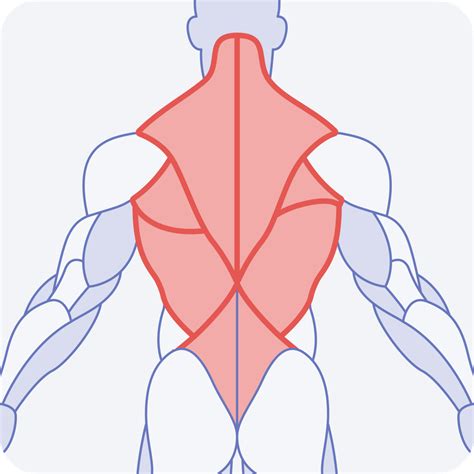 Medrol Dose Pack For Back Pain How Fast Does It Work
