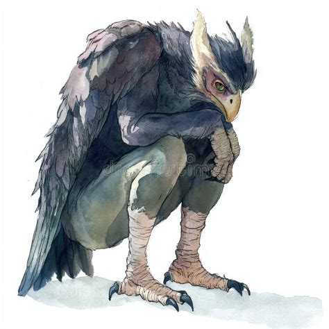 Watercolor Illustration Of A Harpy A Mythical Creature With The Head
