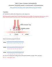 S PSET KEY Pdf PSET Genes Translation And Drug Delivery Questions Points