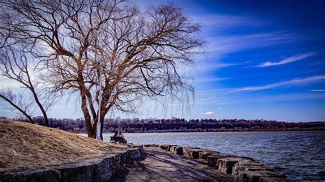 People Sitting On A Bench For A Fresh Air Under A Tall Naked Tree Next To A Lake Stock Photo