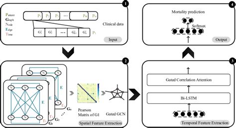 Architecture Of Gstcnet The Four Components Are Input Spatial Feature Download Scientific