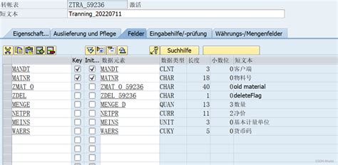 Abap第一课sap Abap 定义数据元素 Csdn博客