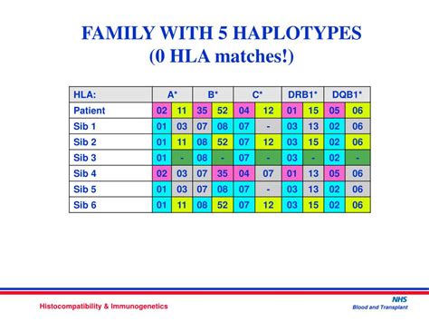 Ppt Principles Of Hla Typing Hla Matching In Hsct David Smillie H And I Nhsbt Sheffield