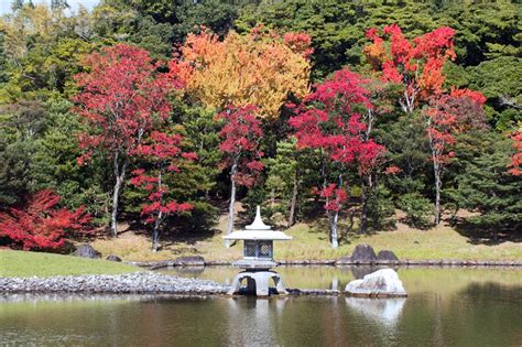 万博公園の紅葉 Kiss Digital四季の写真館