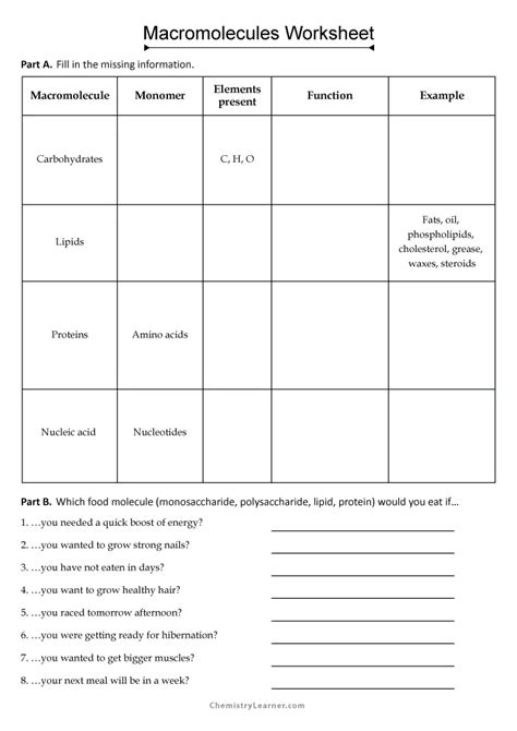 Biochemistry Macromolecules Pogil Worksheet Worksheet