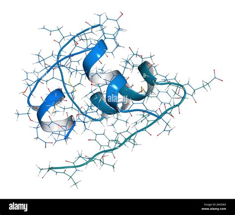 Insulin Peptide Hormone Important Drug In Treatment Of Diabetes Combined Wireframe And Cartoon