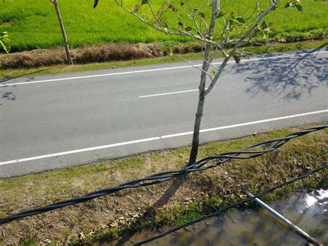 Atiqah Atiqah Xfimj Roboflow Universe