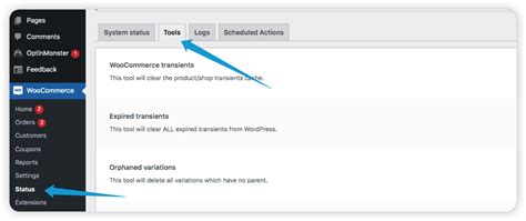 How To Restore Deleted Pages In WordPress