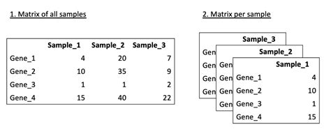 Rna Seq Data Readiness For Machine Learning Applications Introduction Machine Learning Ready