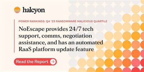 Ransomware Infosec Security Cybersecurity Halcyon