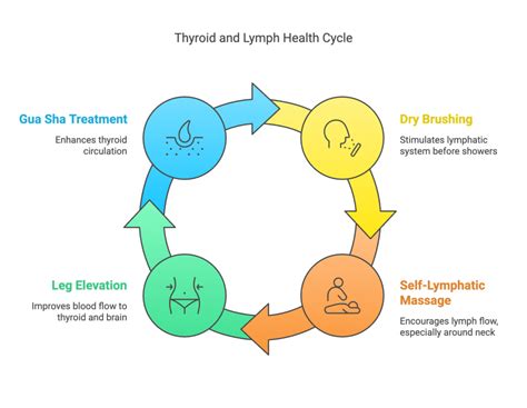 Lymphatic Drainage Roadmap For Hypothyroid Healing