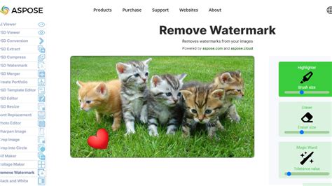 Best 6 Free Ways To Remove Watermark From GIF Online PC Mobile